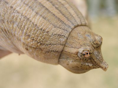 Index of /storage/images/slides/